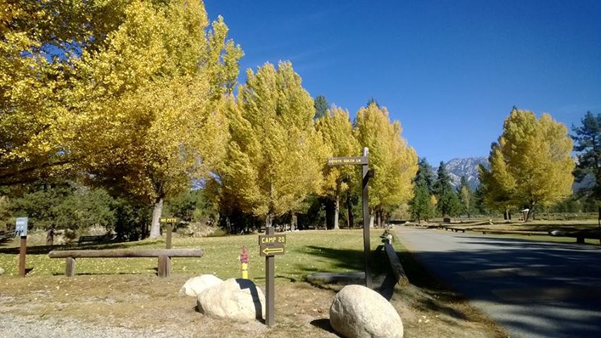 Temecula/Mt. Laguna/Lake Hemet – Vintage Color – California Fall Color
