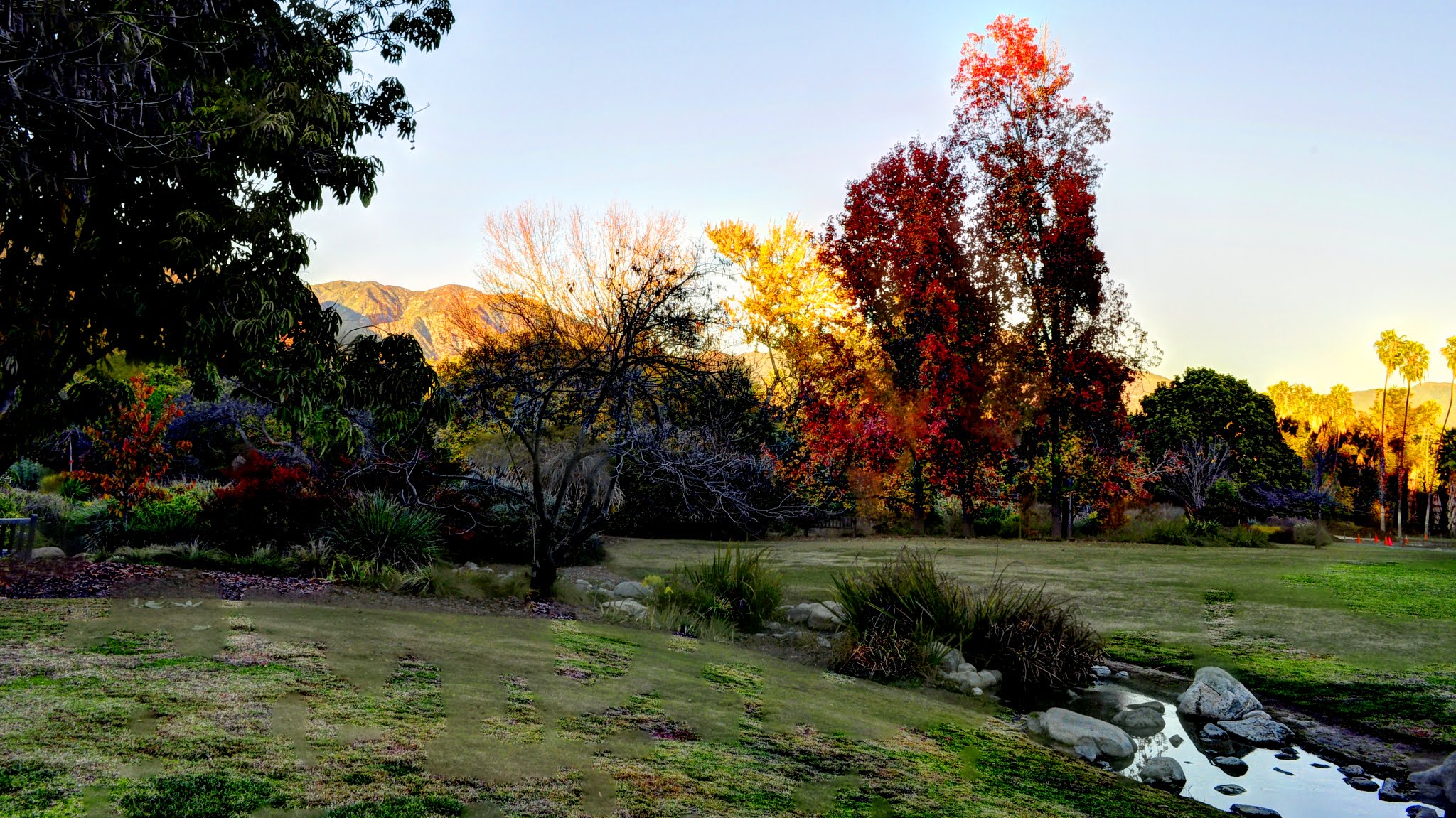 Vibrant Fall Colors Enliven Southern California – California Fall Color