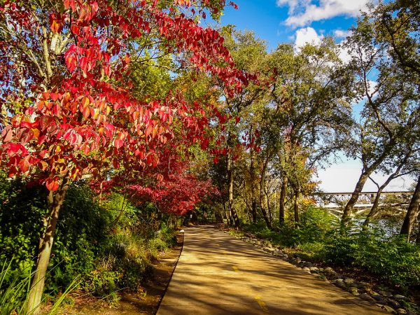 Peak of the Week: Redding – California Fall Color