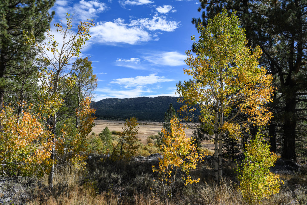 Hope Valley Still Just Starting – California Fall Color