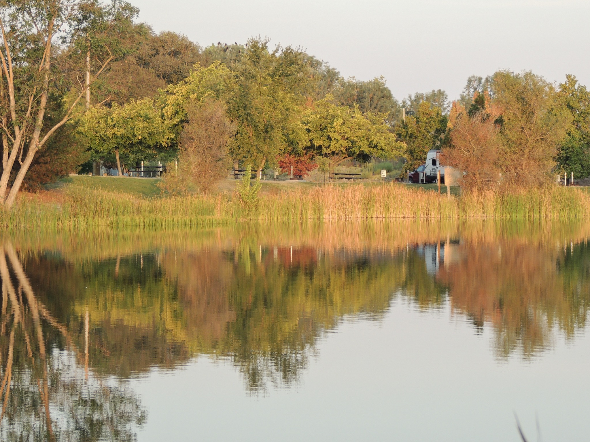 Lake Camanche Nets Color – California Fall Color
