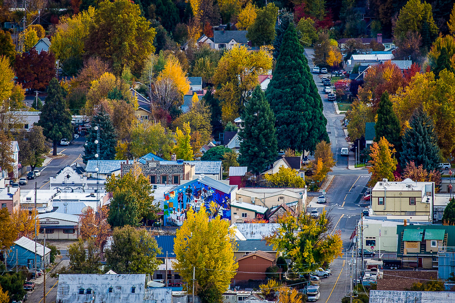 Above Quincy – California Fall Color
