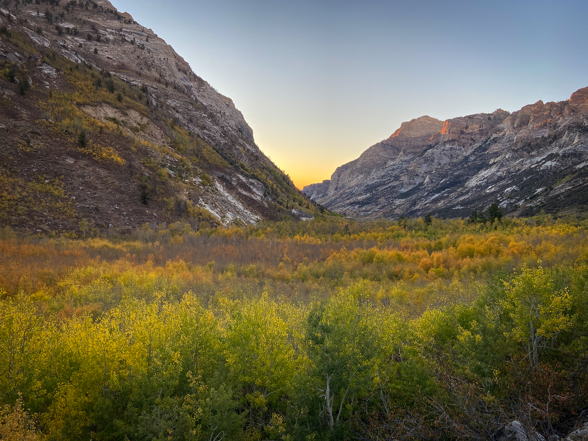 Ruby Mountains – California Fall Color