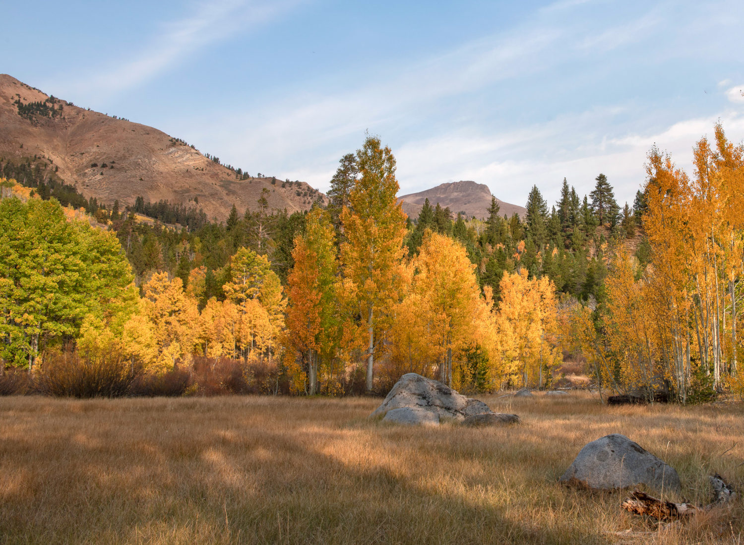 Hope Valley Comparison – California Fall Color