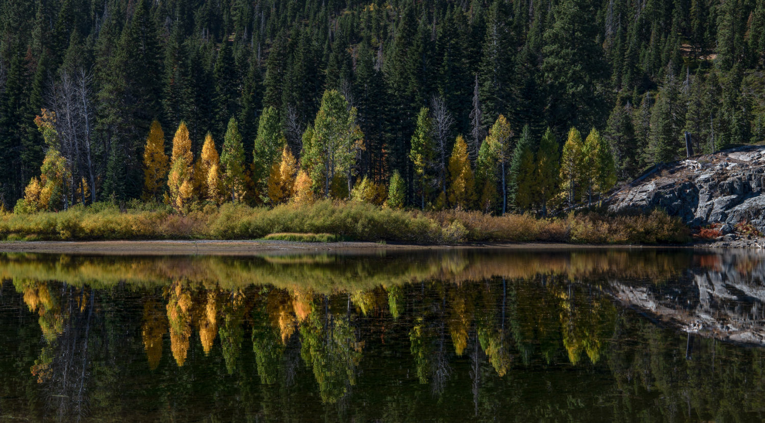 Tahoe National Forest – California Fall Color