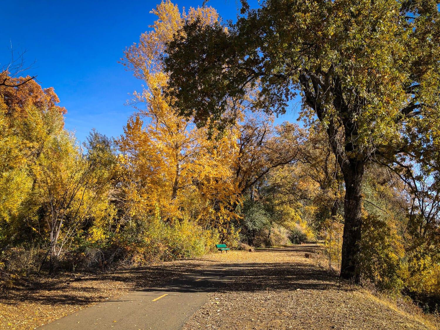California Fall Color – Dude, autumn happens here too.