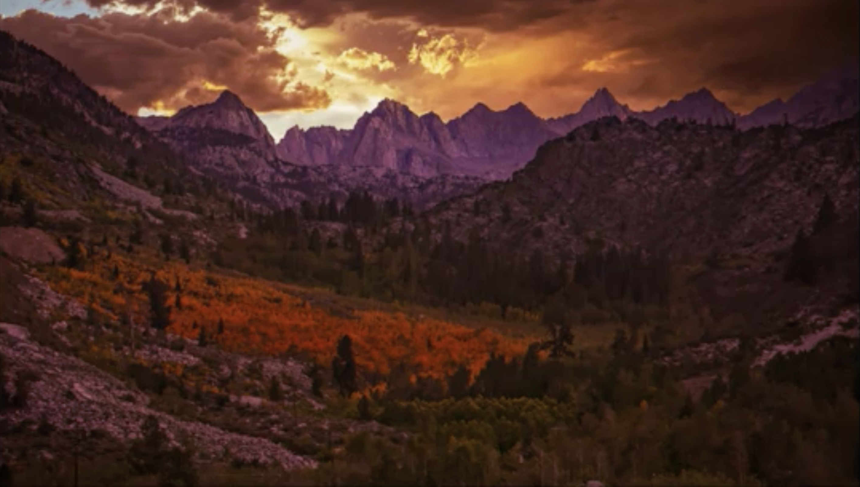 Giving Thanks and Looking Back at 2022 – California Fall Color