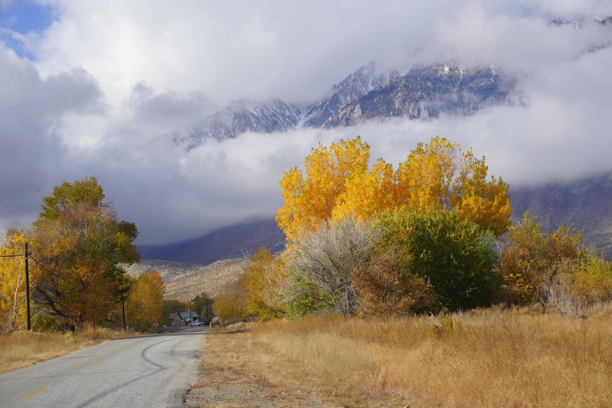 Owens Valley Still Has Shine in Spots – California Fall Color