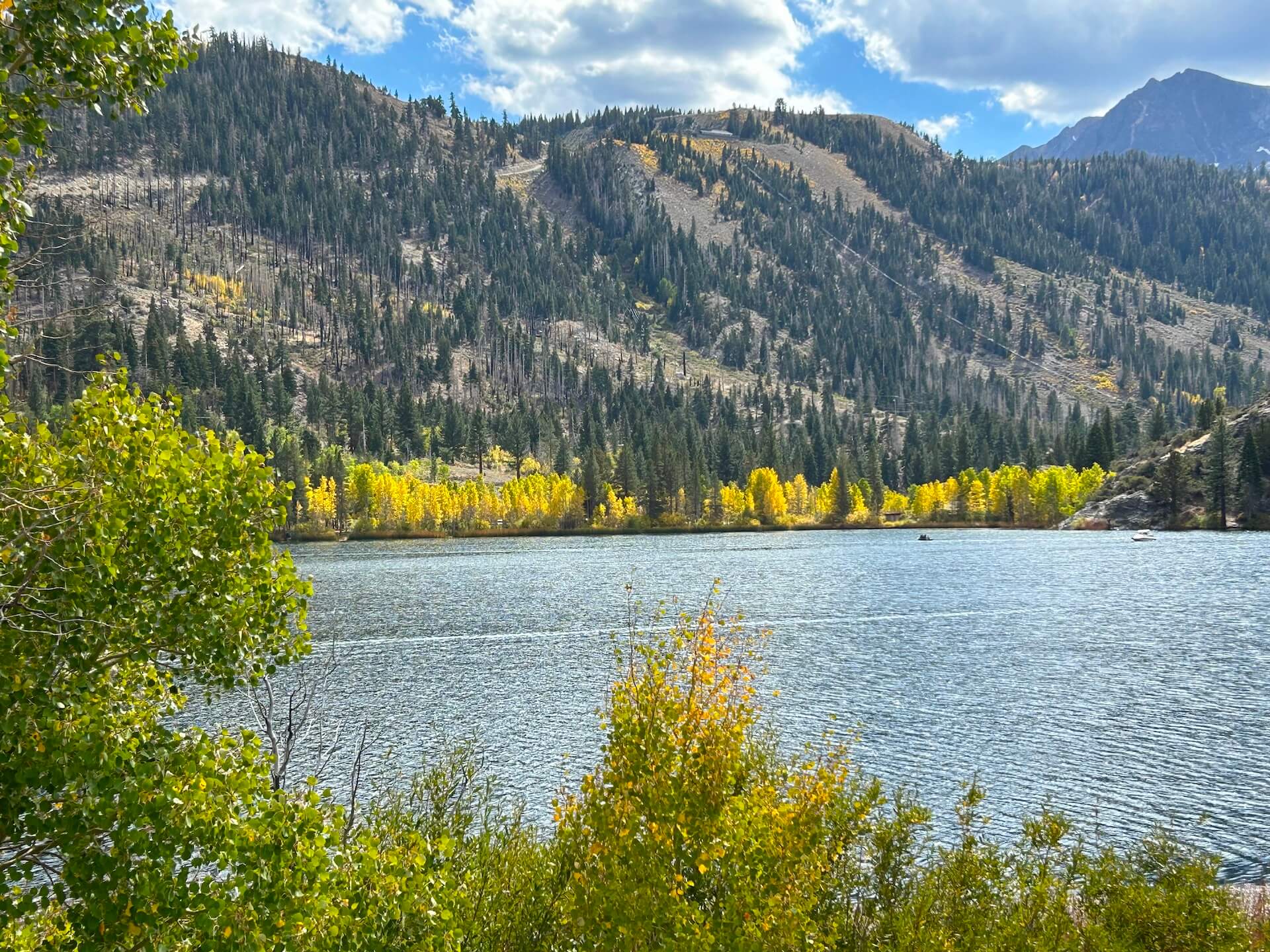 Mono County Fall Fun – California Fall Color