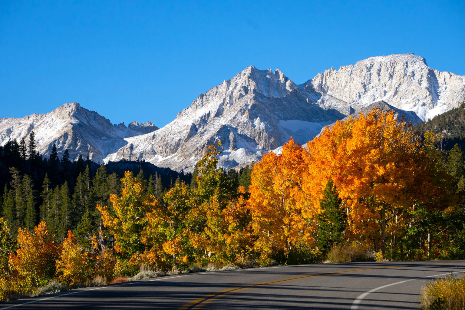 GO NOW! to Mono County – California Fall Color