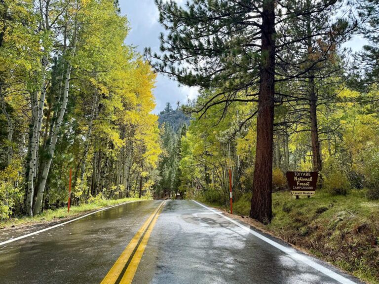 Go Now to Northern Mono County – California Fall Color
