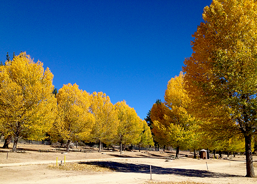 Lake Gregory and Lake Hemet Peak – California Fall Color