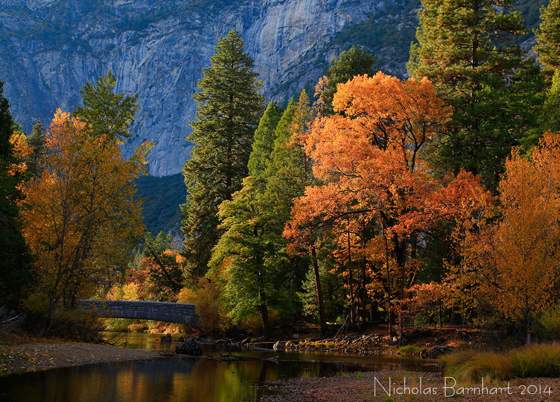 Peak of the Week: Yosemite – GO NOW! – California Fall Color